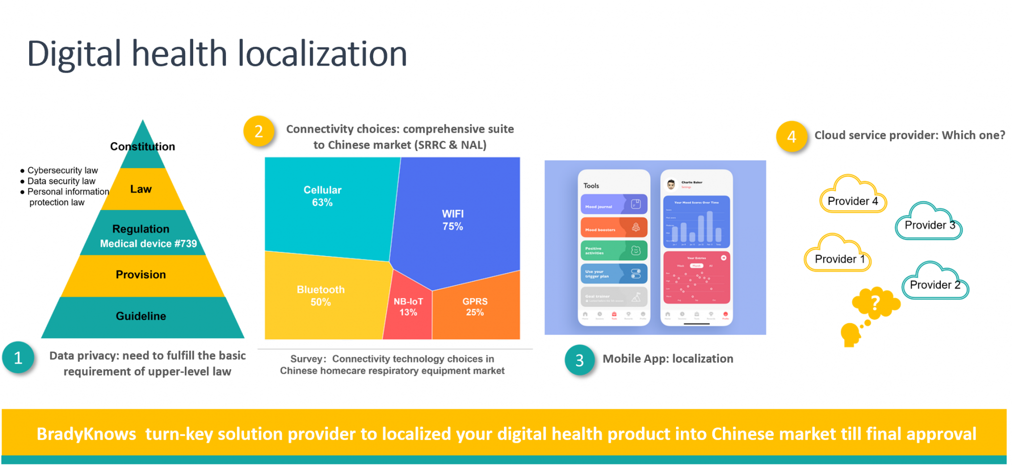 NMPA Updated Guidelines on Software, Cybersecurity and AI | BradyKnows